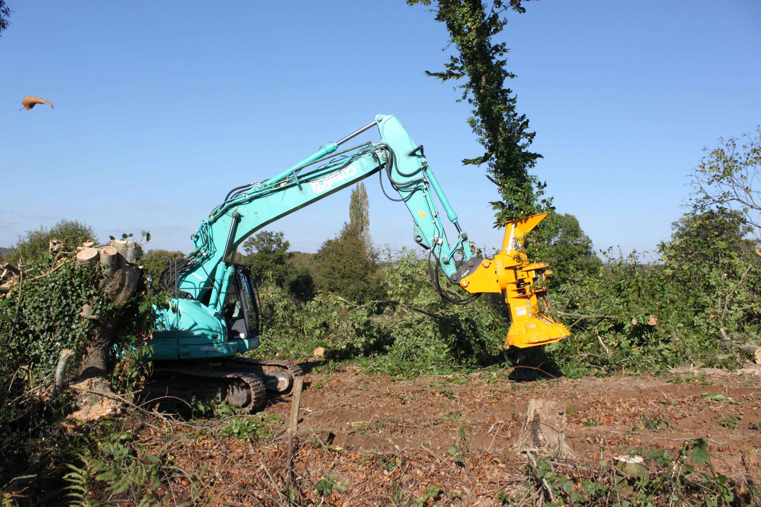 Forest thinning works | Forestry | Gilbert Products